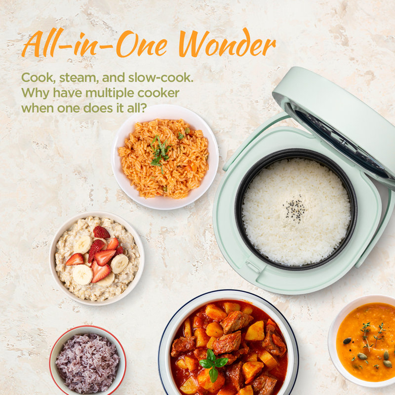 MOOSUM Multi Mini Rice Cooker 2-cups Uncooked (1.2L) & Reviews | Wayfair