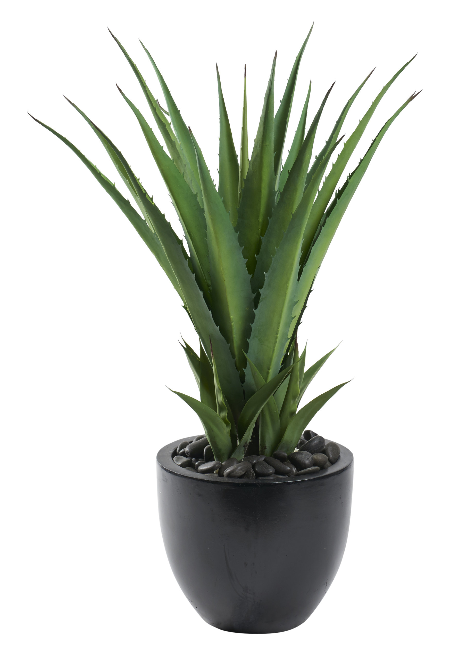 Primrue 42" Succulent Plant In Glossy Planter | Wayfair