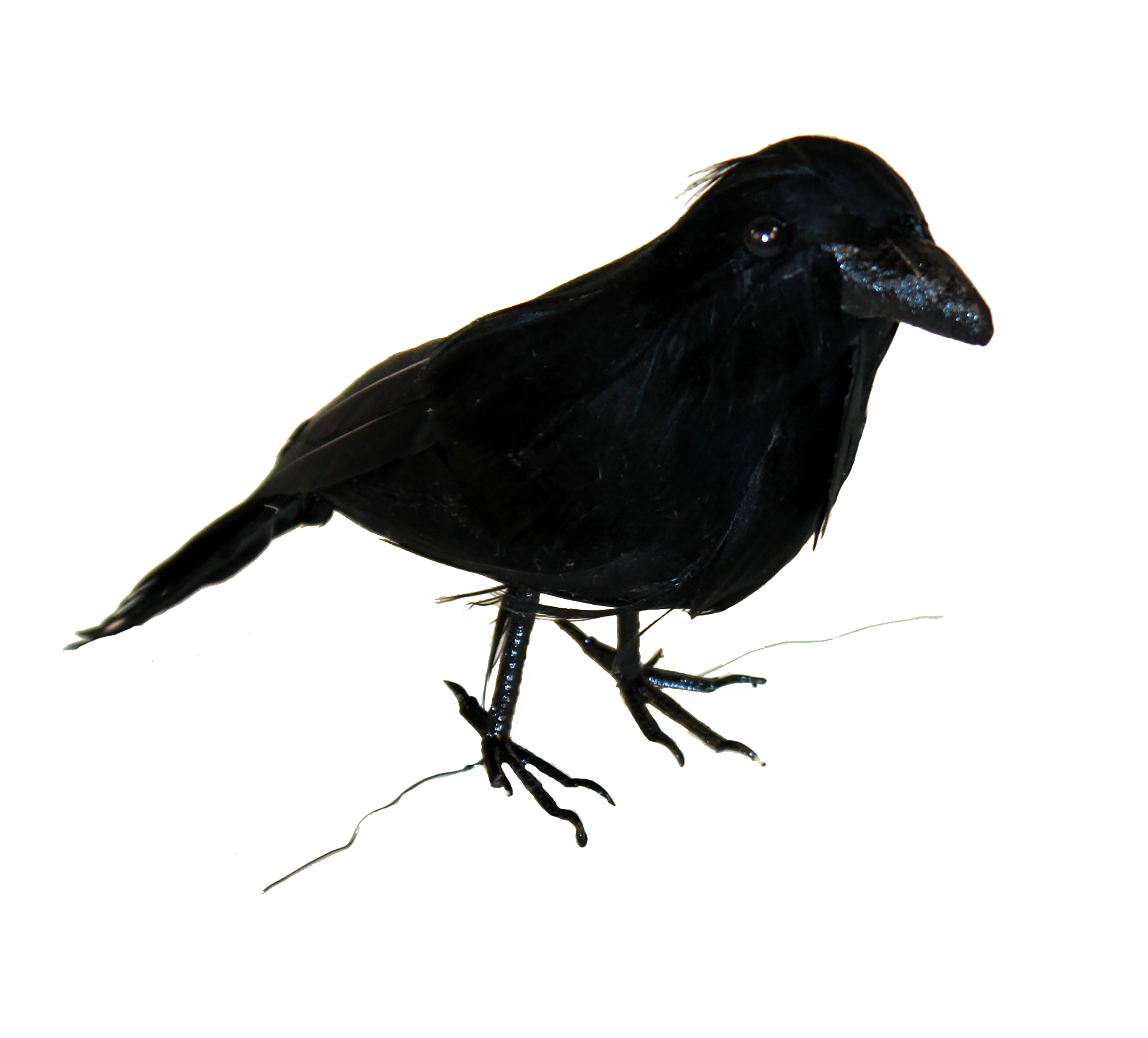 The Holiday Aisle® 6" Small Feather Artificial Crow, Set of 3 | Wayfair