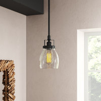 Black Single Pendant Lighting You'll Love | Wayfair