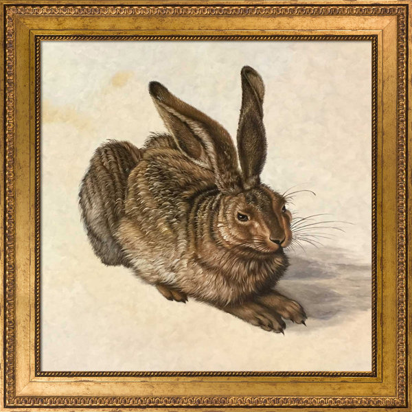 Overstock Art " Young Hare " by Albrecht Durer Painting Print on Canvas ...
