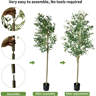 Dakota Fields Potted Silk Faux Olive Tree For Home Office Decor Fluffy ...