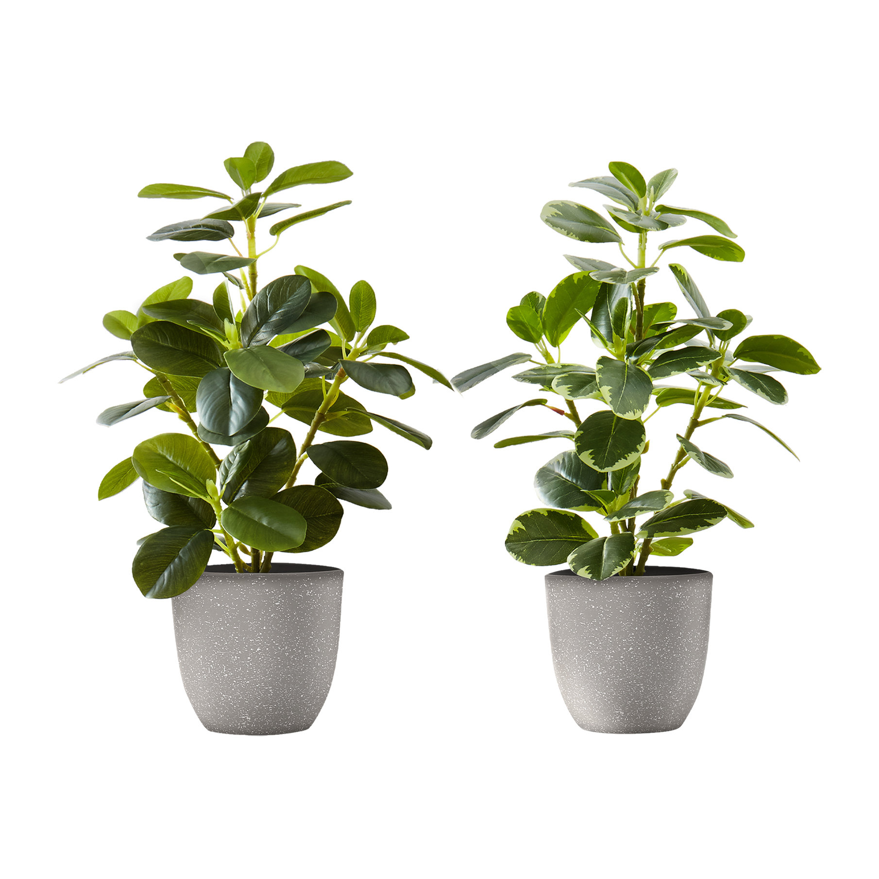 Primrue Indoor Table Greenery Of 2 14" Tall Faux Potted Plants With In ...