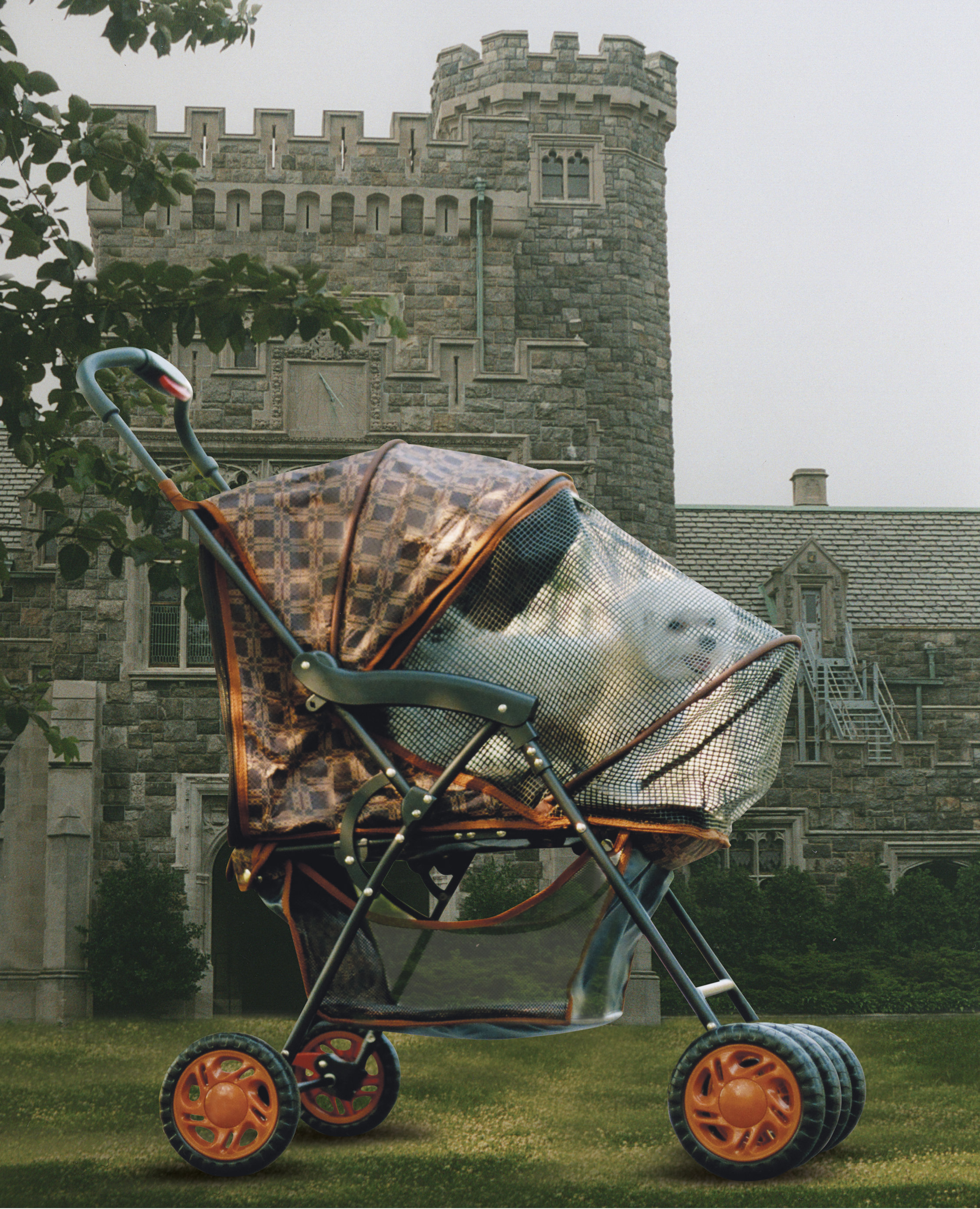 Kittywalk Systems Royale One-Touch Pet Stroller | Wayfair