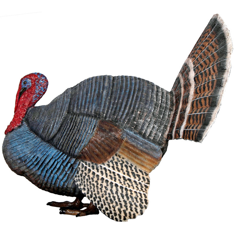 Design Toscano Wild Tom Turkey Grand Scale Animal Statue | Wayfair