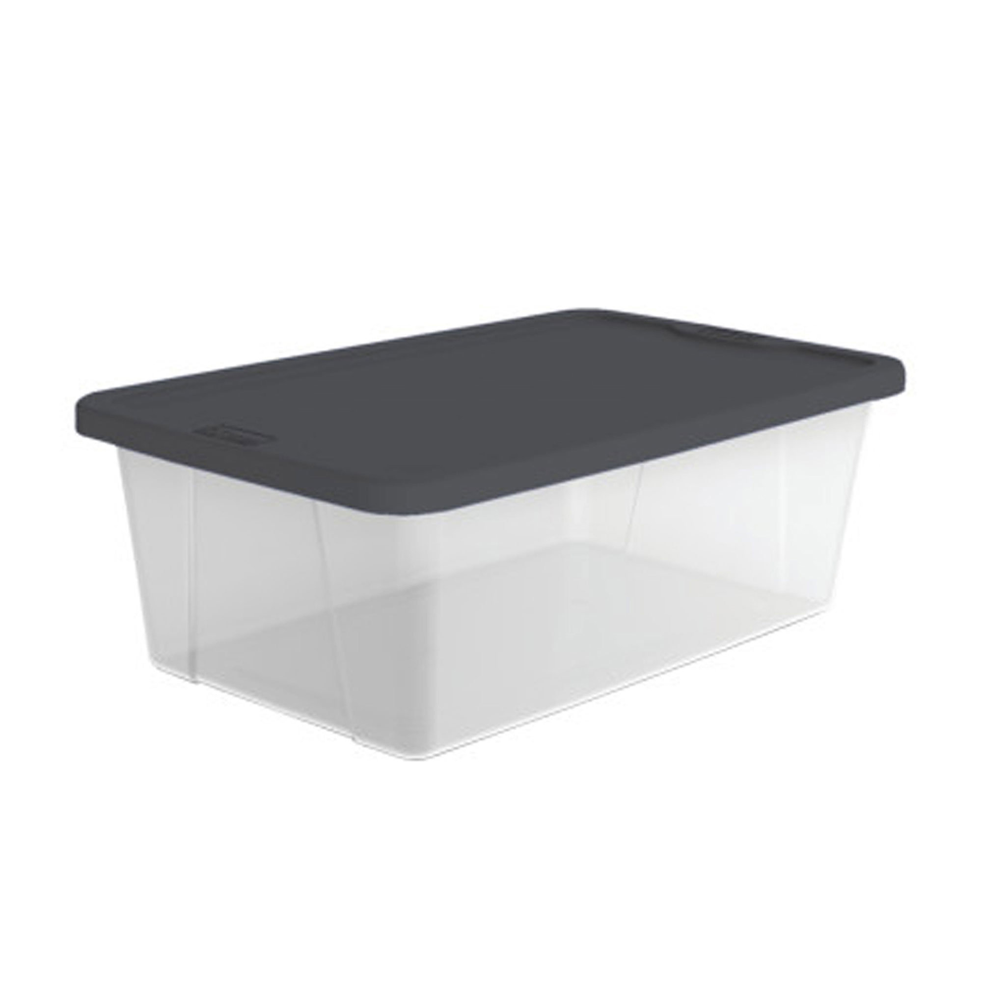 Homz Snaplock 6 qt Plastic Storage Tote Set & Reviews - Wayfair Canada