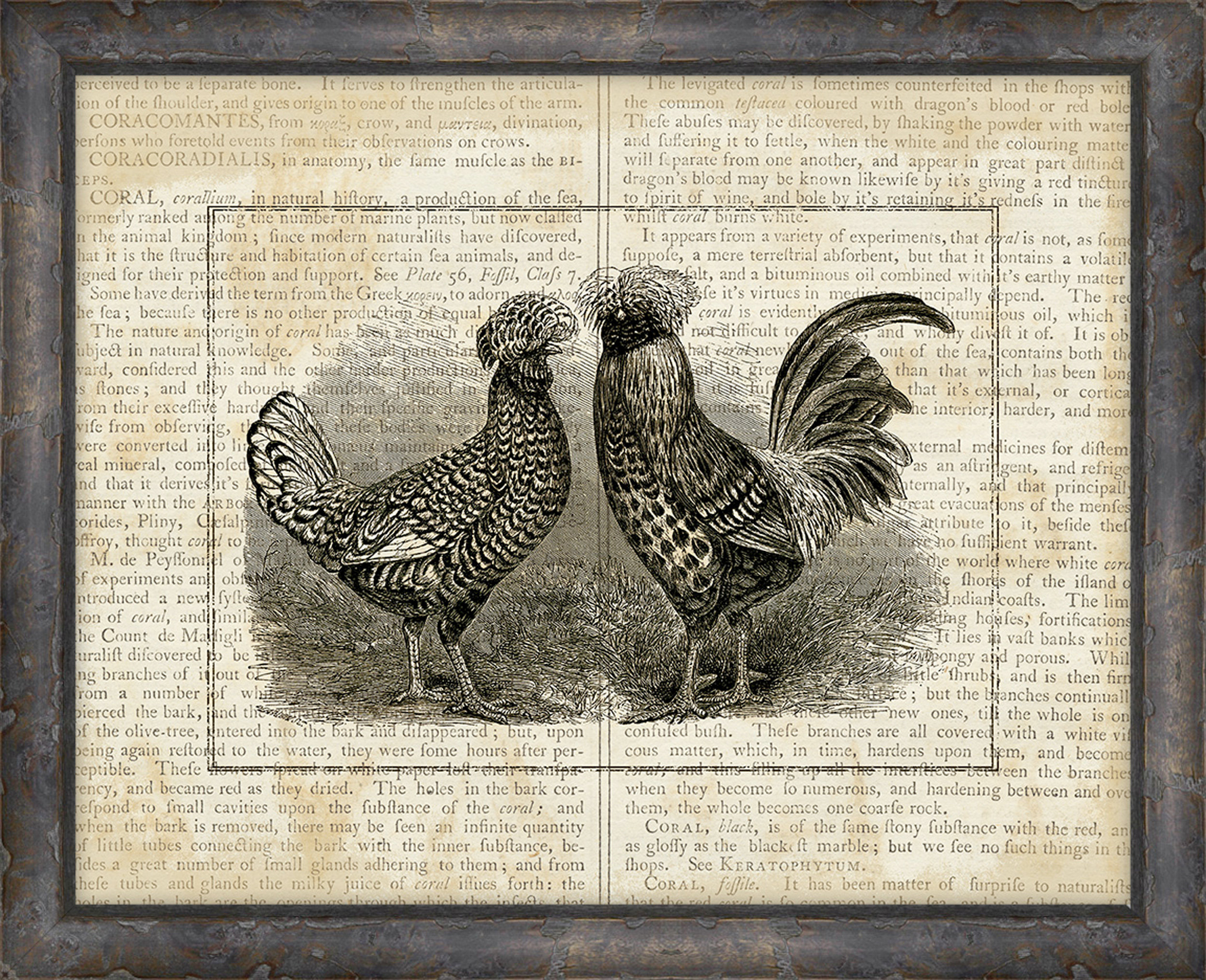 Melissa Van Hise 'Roosters on Writing' Framed Graphic Art Print ...