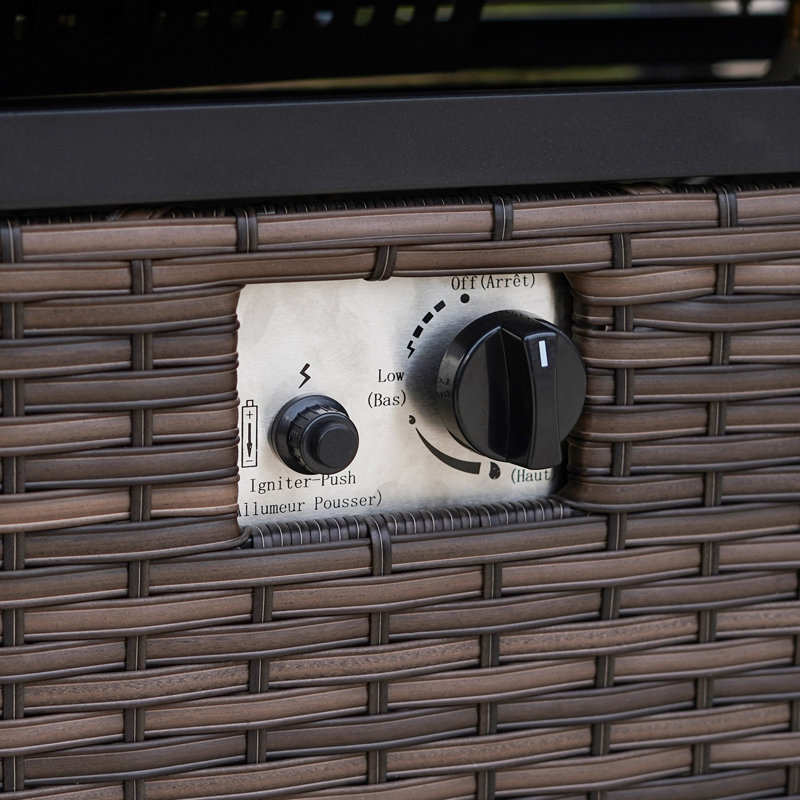 Lark Manor Argyri 56" Outdoor Rectangular Rattan Propane Gas Fire Pit ...