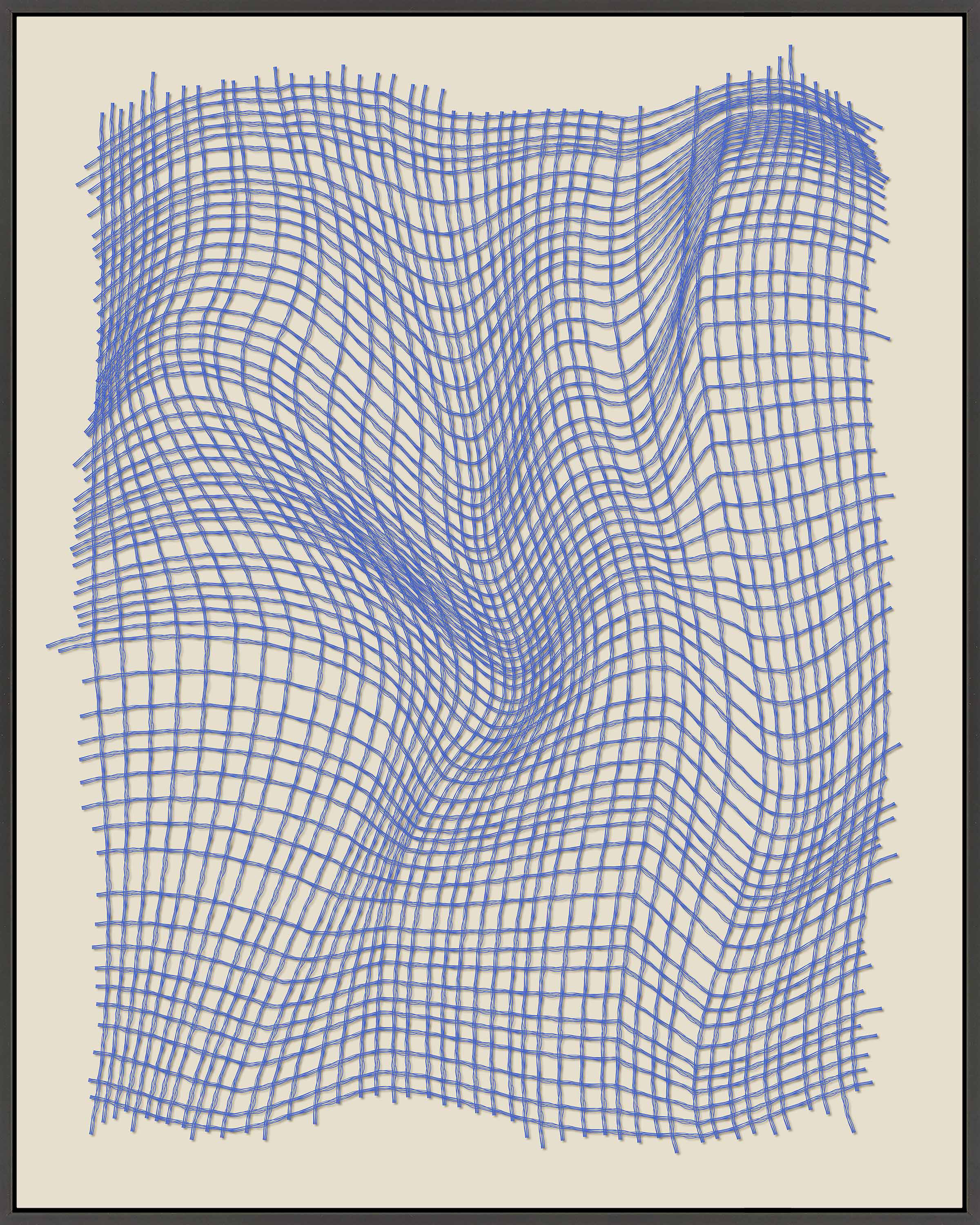 AllModern Netting 4 by Jacques Pilon - Framed Wall Art - Wayfair Canada