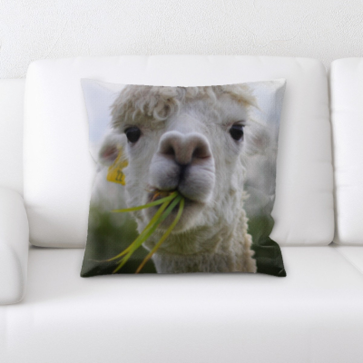 Latitude Run® Eaman Animal Square Pillow Cover & Insert | Wayfair