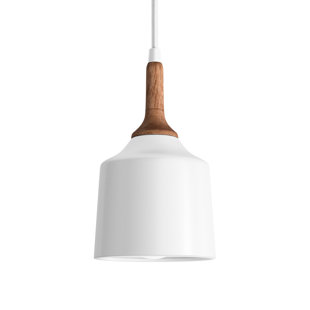 Single Pendant Lights | Wayfair