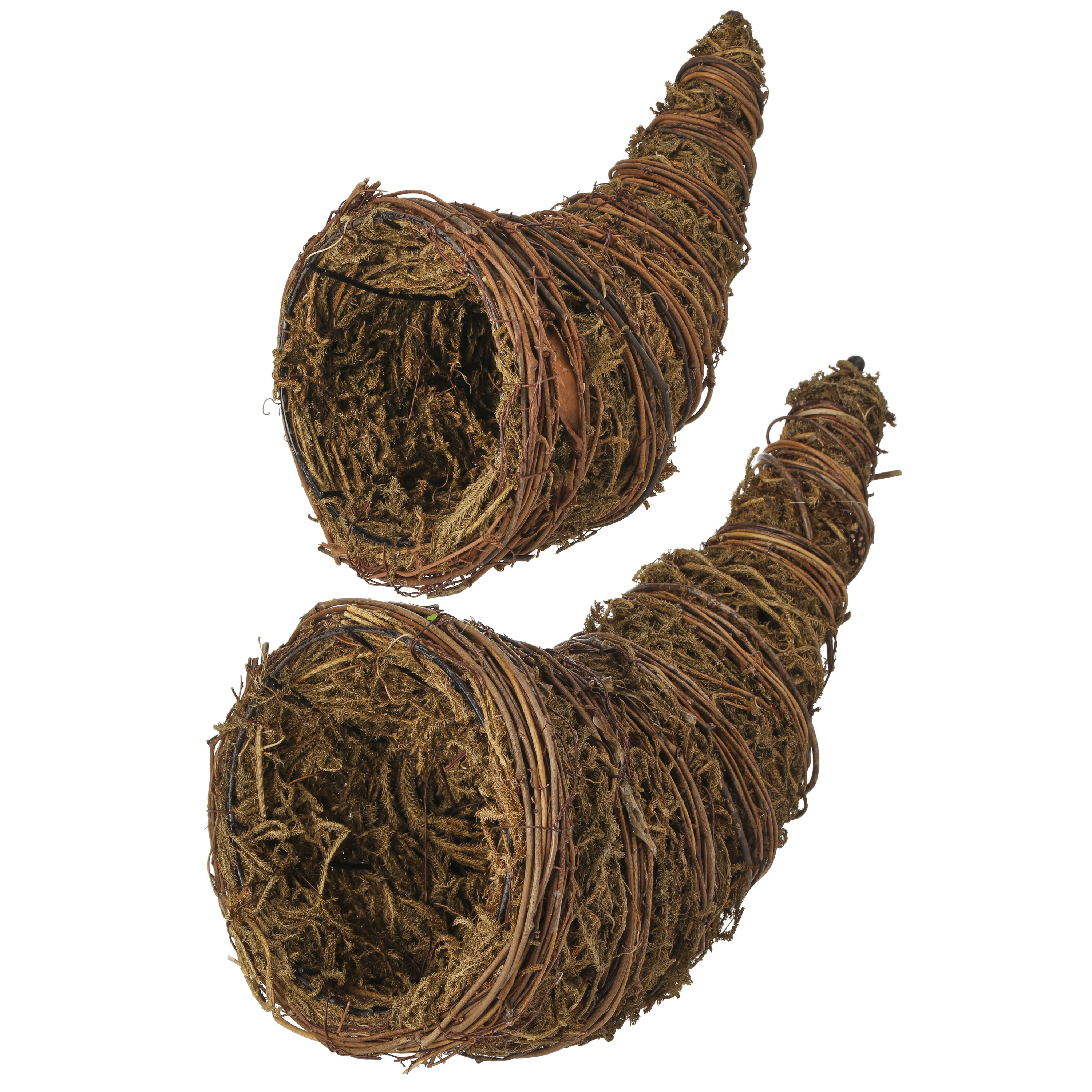 Ophelia & Co. Vine/Moss/Twig Cornacopia | Wayfair