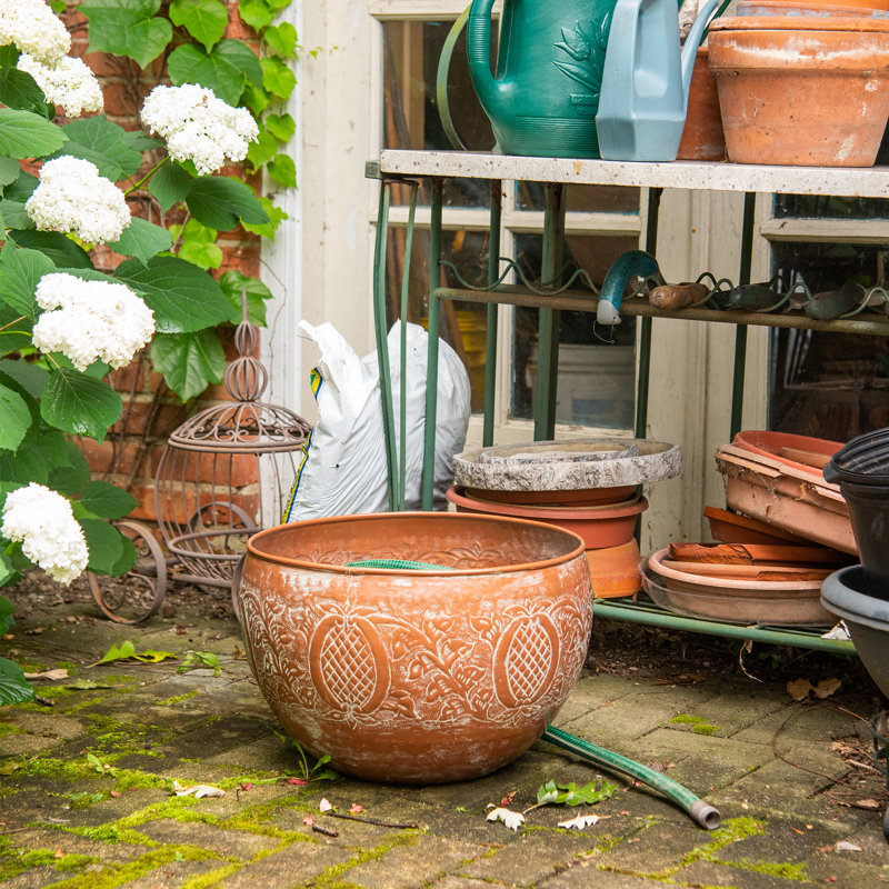 CobraCo Embossed Decorative Leaf Metal Hose Pot & Reviews | Wayfair