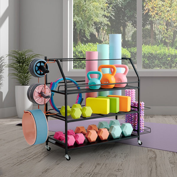 WFX Utility™ Freestanding Home Gym Storage Sports Rack & Reviews | Wayfair