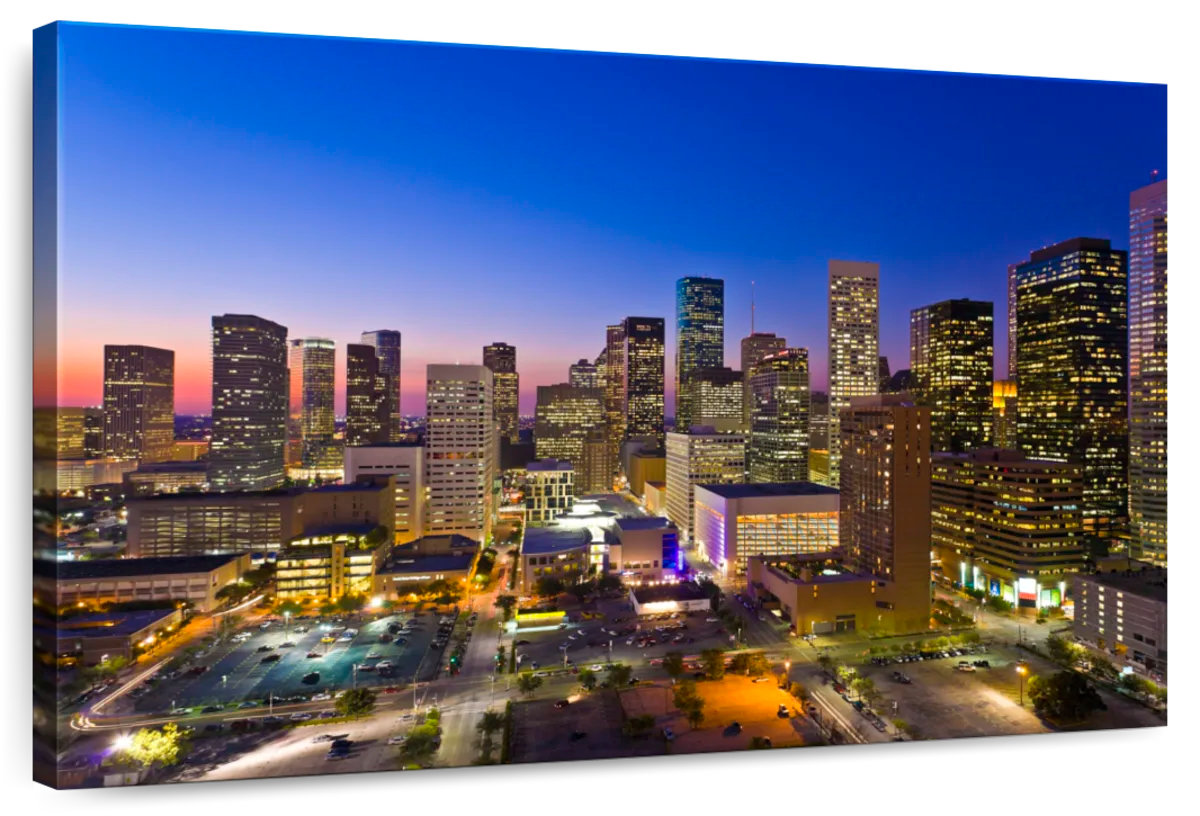 Elephant Stock Houston Twilight Sky | Wayfair