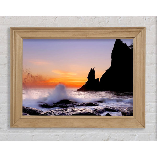 Bright Star Ocean Spray Delight - Single Picture Frame Print | Wayfair ...