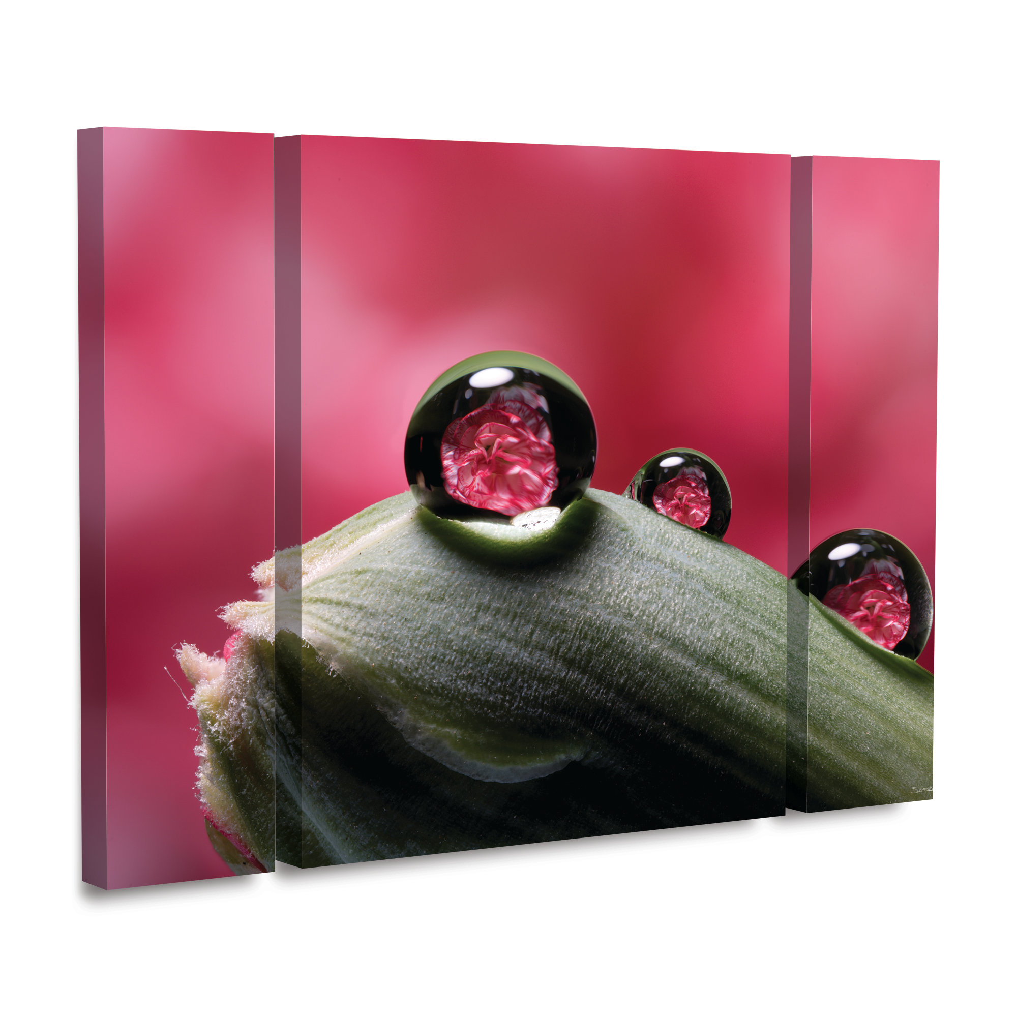 Red Barrel Studio® Gordon Semmens Dew Drops Macro 06 3 Piece Panel Set ...