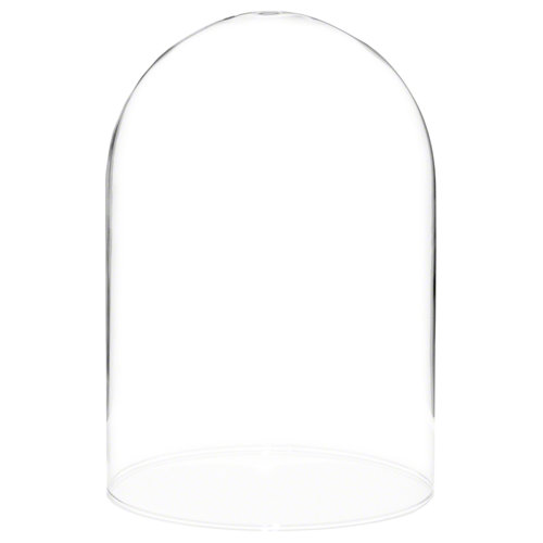 Cloche | Wayfair