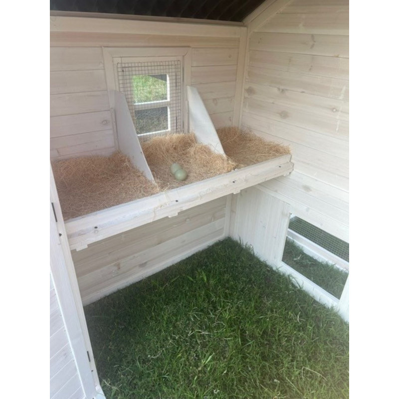 Zylina Modern Nesting House - Poultry Pen Connection | Wayfair