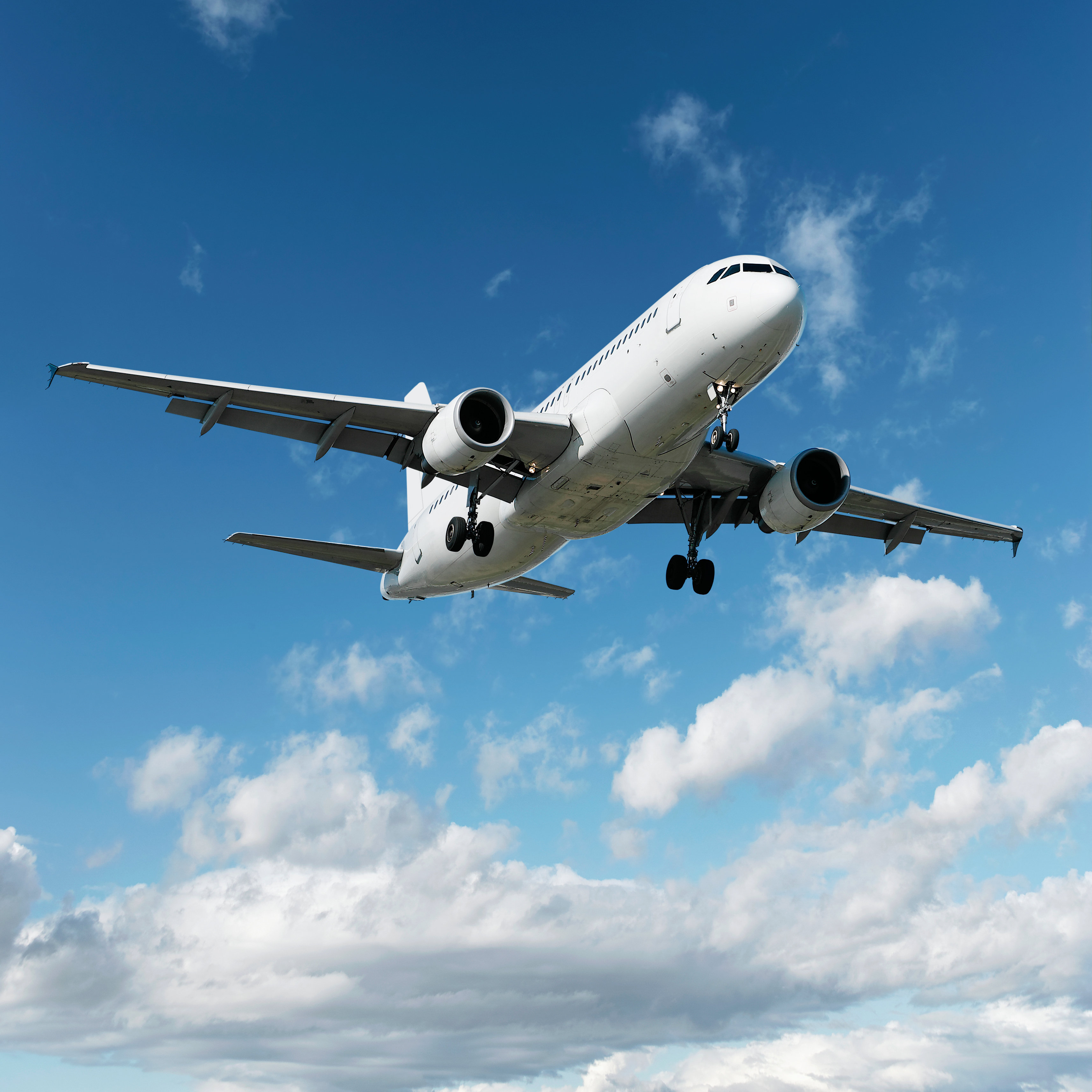 Latitude Run® Jet Airplane by Sharply_Done | Wayfair