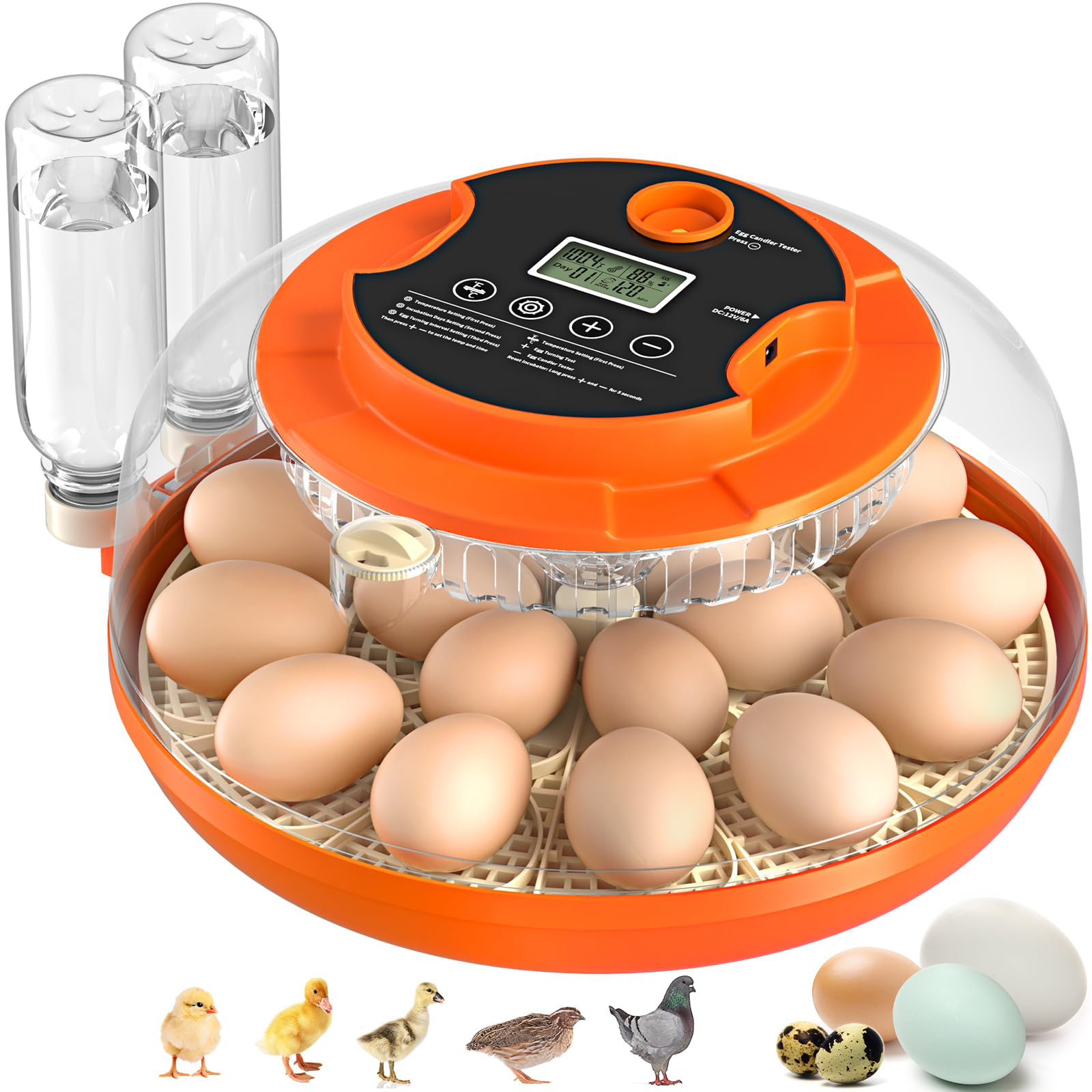 Archie & Oscar™ Egg Incubator With Temperature And Humidity Display ...
