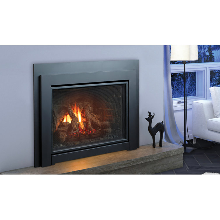 Kingsman Fireplaces 28.6'' W Fireplace Insert - Wayfair Canada