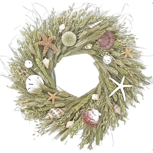Preserved Shell / Capiz Wreath & Reviews | Birch Lane