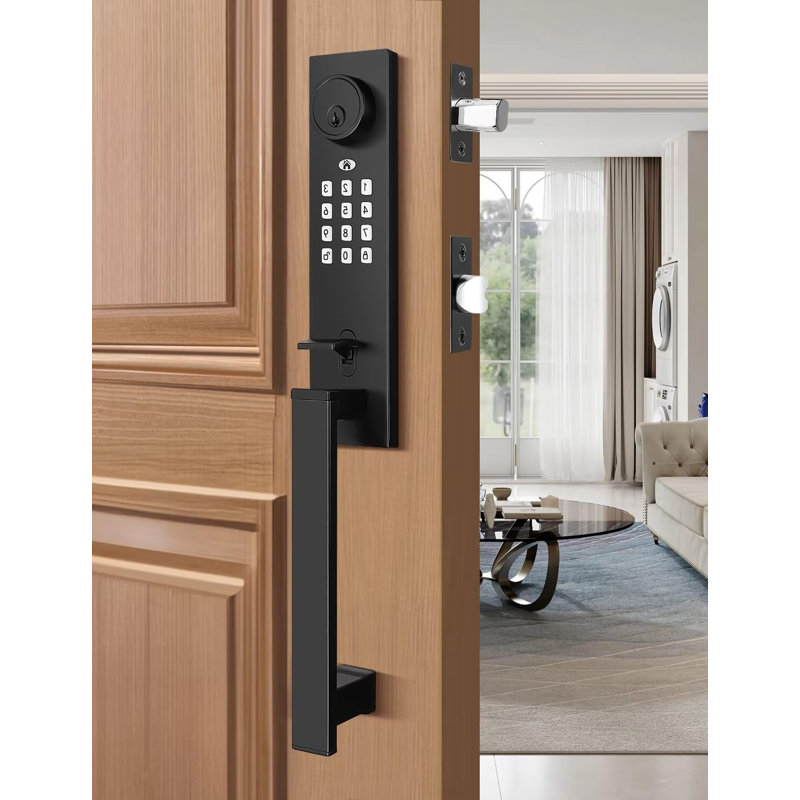 ARMIJU Smart Entry Door Lock Set with Digital Keypad and App Control ...