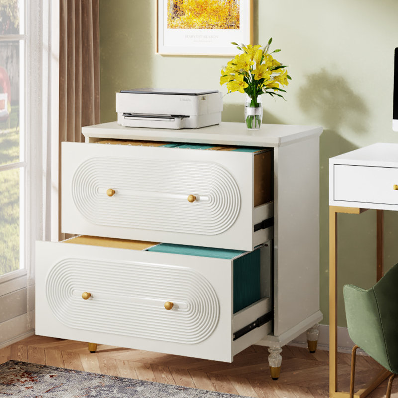 Inbox Zero Lylas 2-Drawer Lateral Filing Cabinet & Reviews | Wayfair