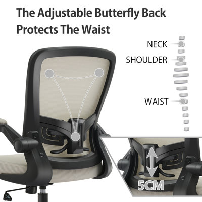 Inbox Zero Everdene Office Ergonomic Task Chair & Reviews | Wayfair