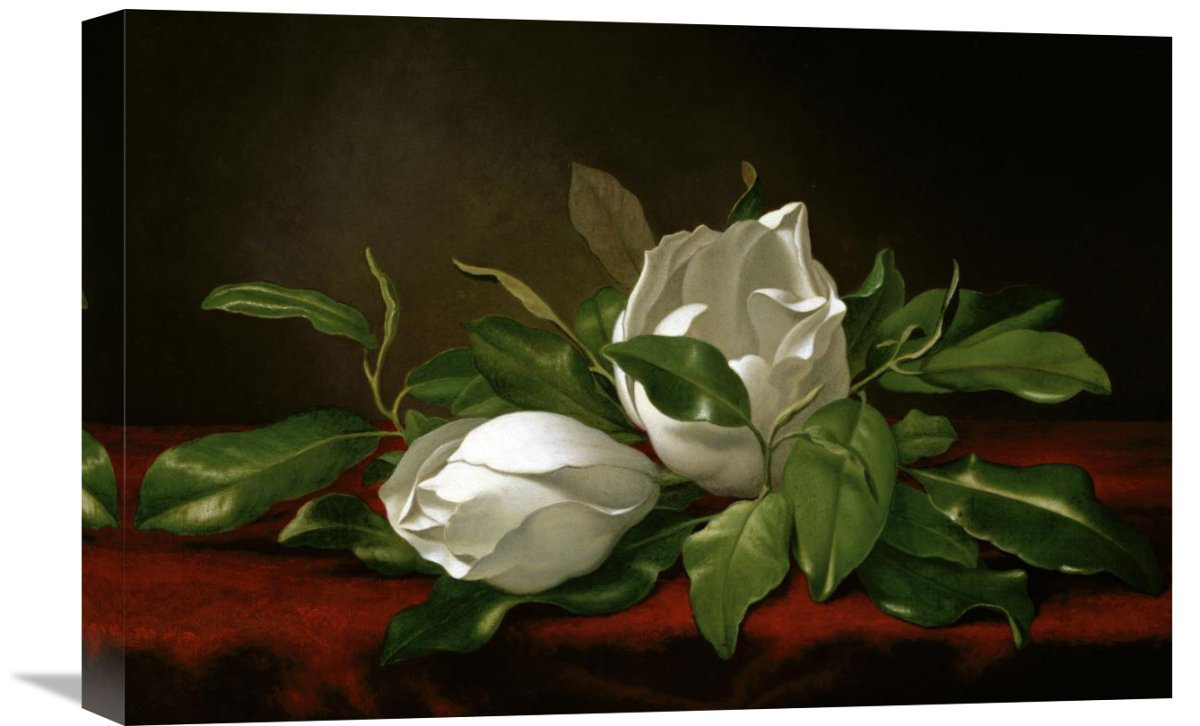 Global Gallery 'Magnolia' by Martin Johnson Heade Painting Print on ...