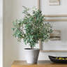 Wayfair.com - Online Home Store for Furniture, Decor, Outdoors & More