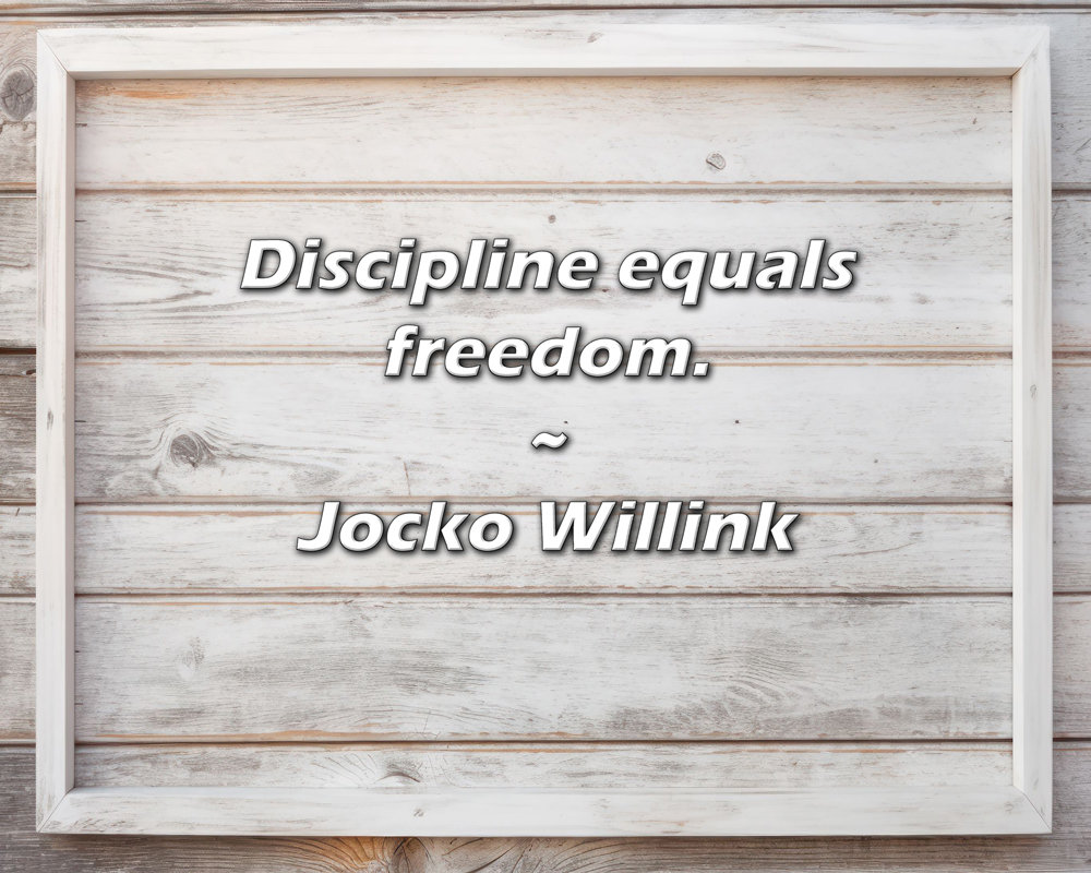 Ophelia & Co. Jocko Willink Quote: Discipline equals freedom. | Wayfair