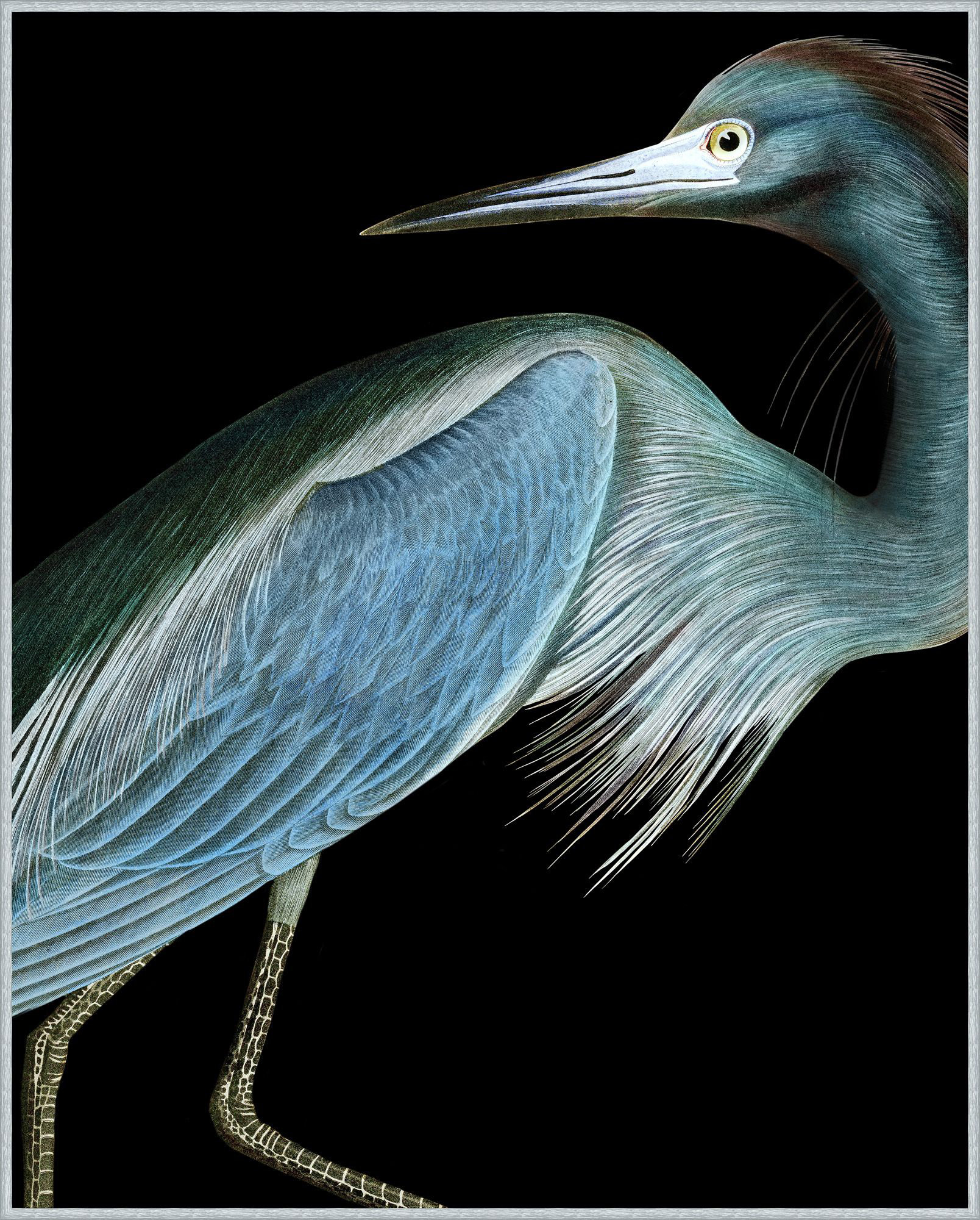 Wendover Art Group Stately Heron 1 by Thom Filicia - Floater Frame ...