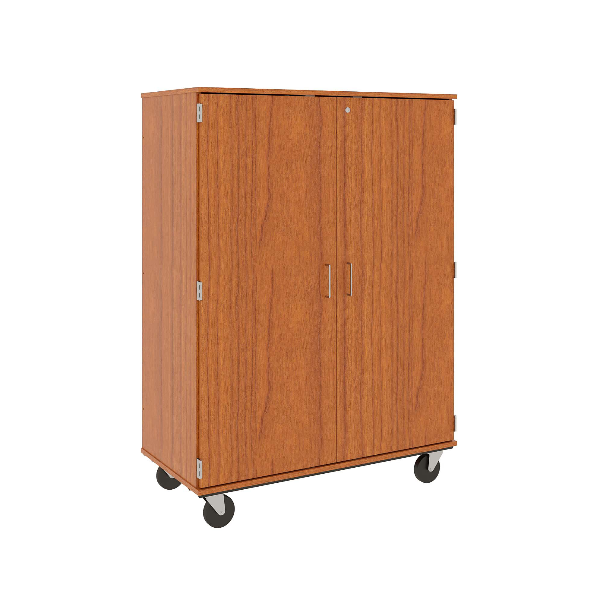 Stevens ID Systems 12 Compartments Mobile Classroom Cabinet with ...