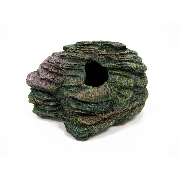 Penn Plax 1 Gallon AquaTerrium™ Aquarium Tank & Reviews | Wayfair