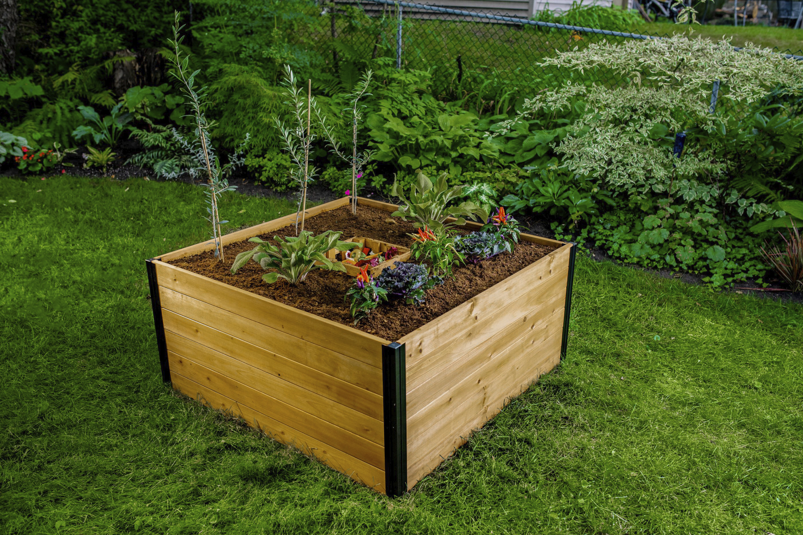 Vita Mezza Keyhole Composting Wood Raised Garden Bed & Reviews | Wayfair