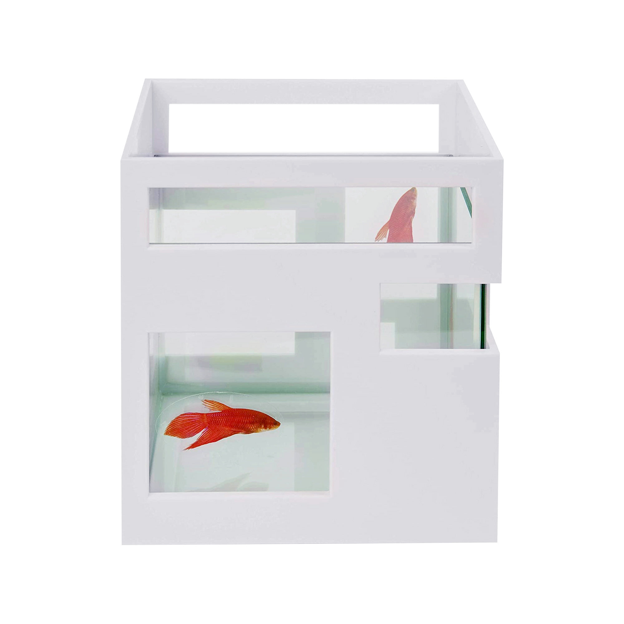 Umbra Square 2 Gallons Aquarium Tank & Reviews | Wayfair