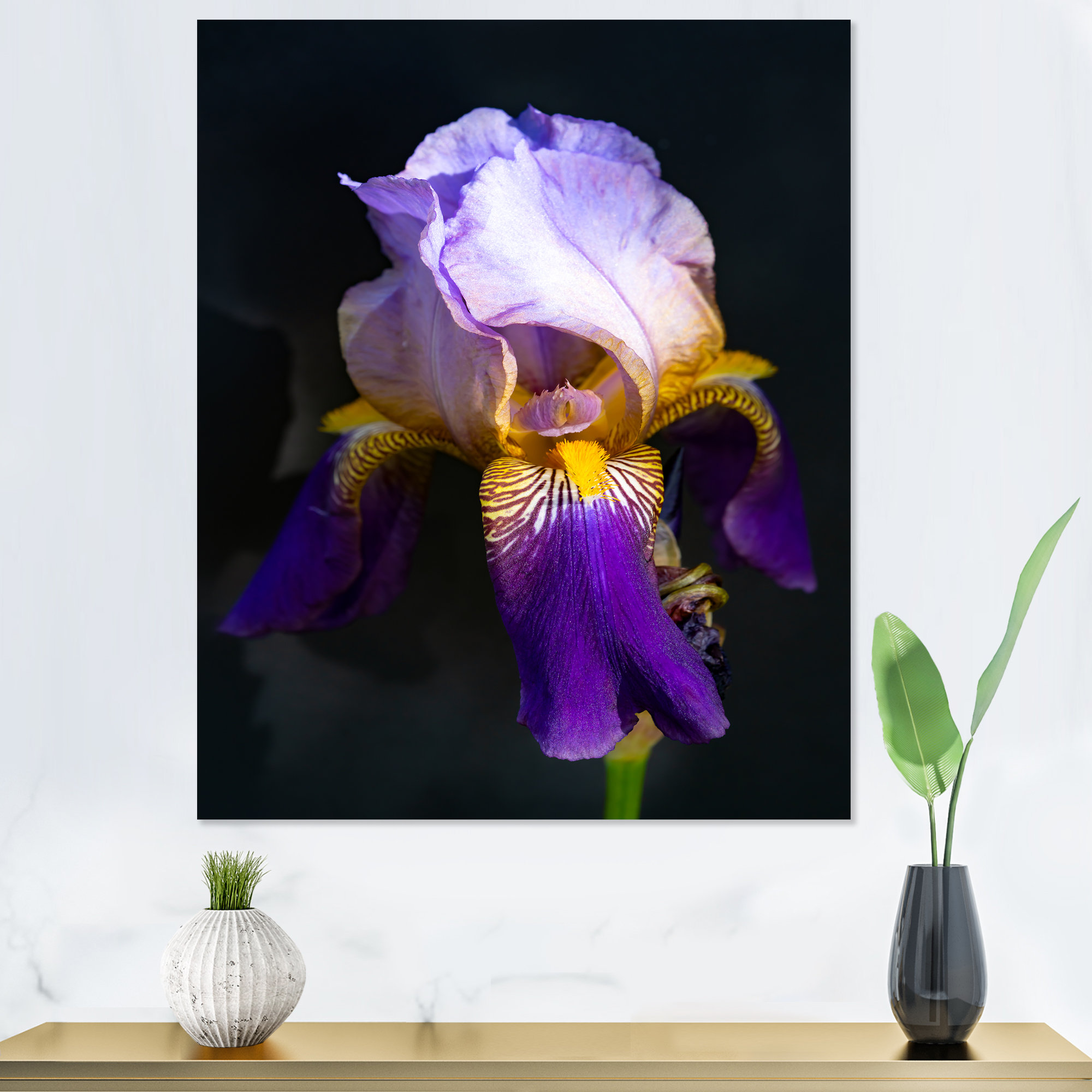 iris flower designs