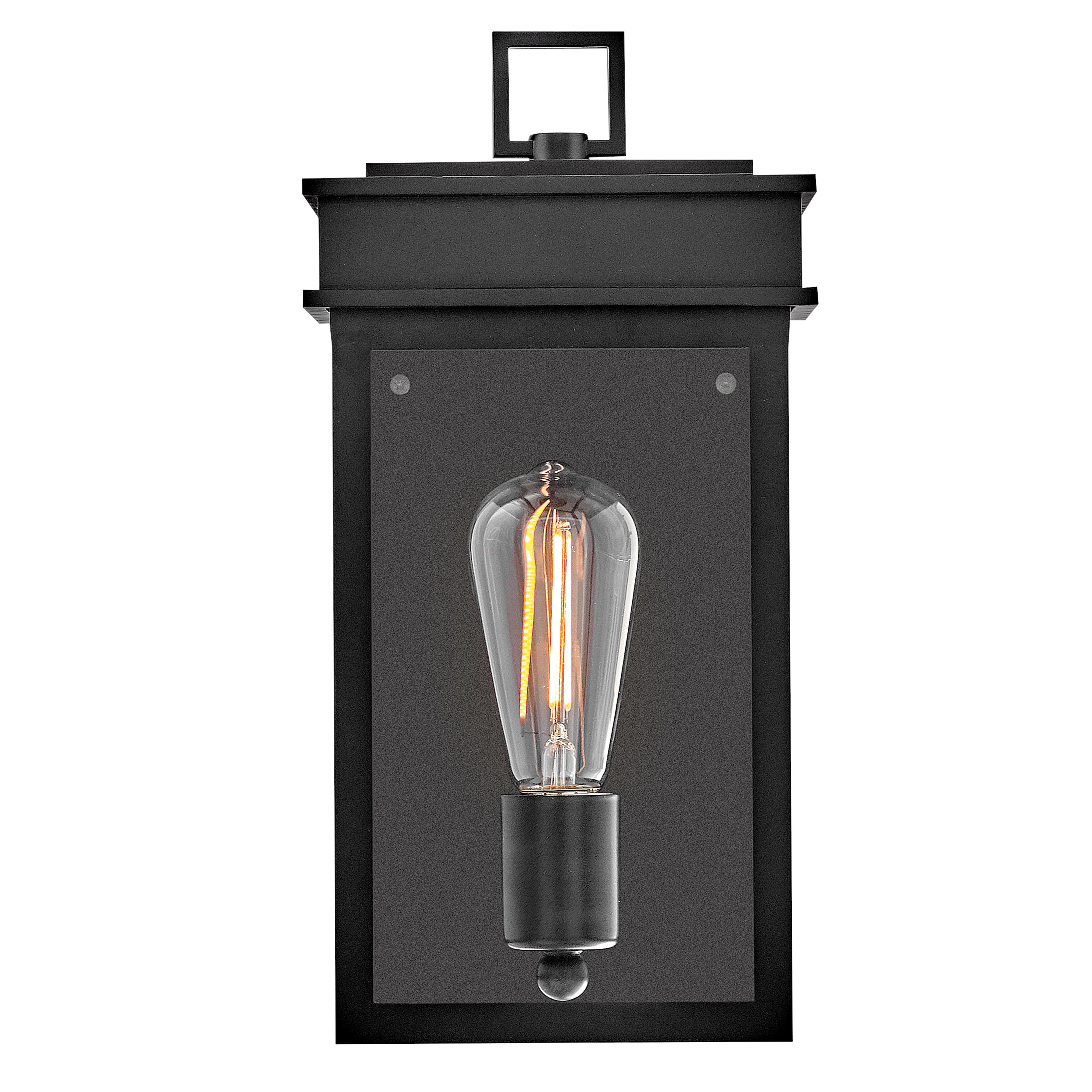 Lark™ Cole Wall Mount Lantern - Wayfair Canada