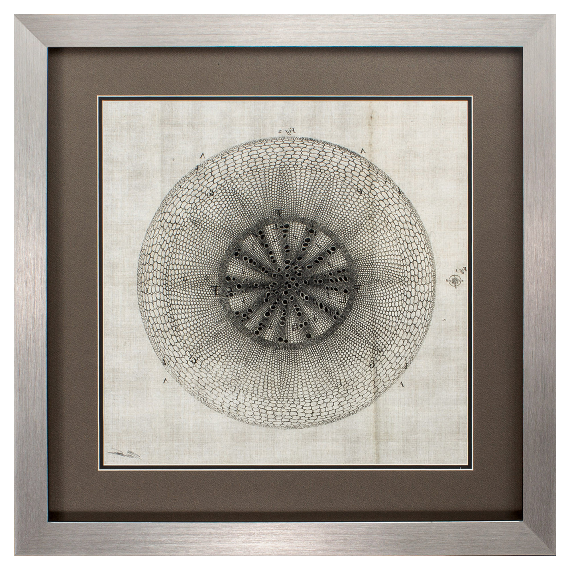 ZeaZu 26" X 26" Silver Frame Custom Cross Cut Iv | Wayfair