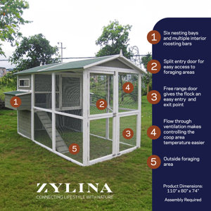 Zylina Big Green Chicken Coop | Wayfair