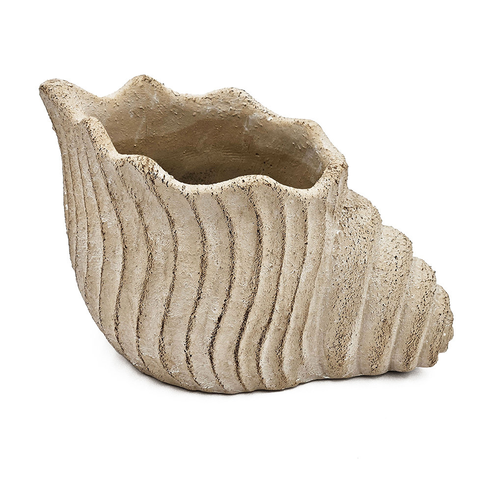 Highland Dunes Sand And Cement Nautilus Shell Planter With Textured ...