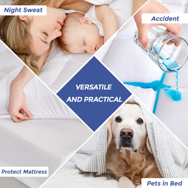 Alwyn Home Cloud Soft Overfilled Plush Waterproof Mattress Pad ...