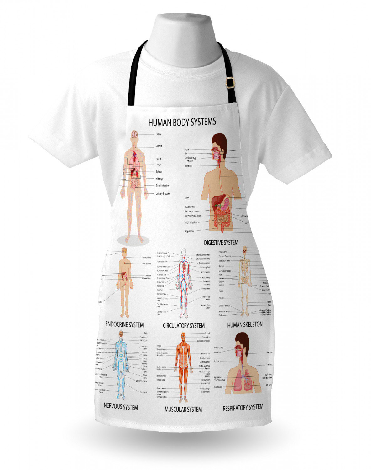 East Urban Home Human Anatomy Apron | Wayfair