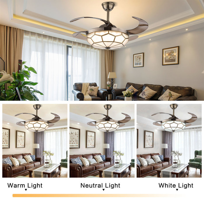 Red Barrel Studio® 42'' Ceiling Fan with LED Lights | Wayfair