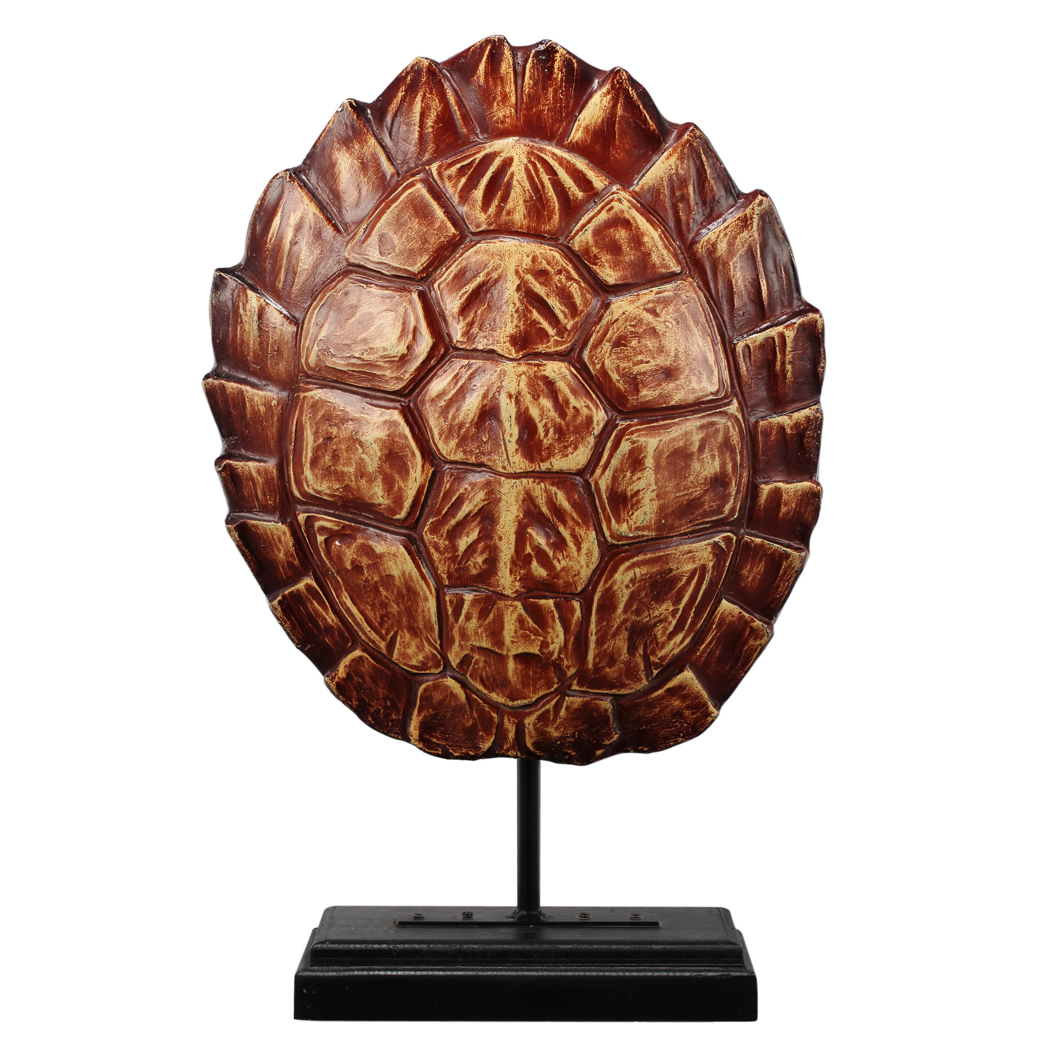 Bay Isle Home™ Tortoise Shell on Stand Sculpture | Wayfair