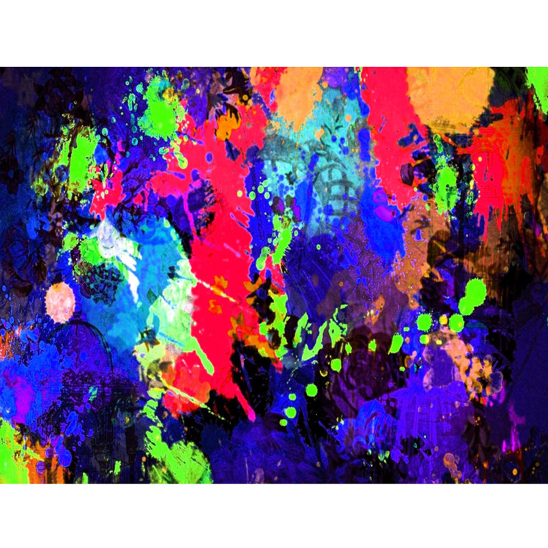 ANMINY Scene Setter - Wayfair Canada