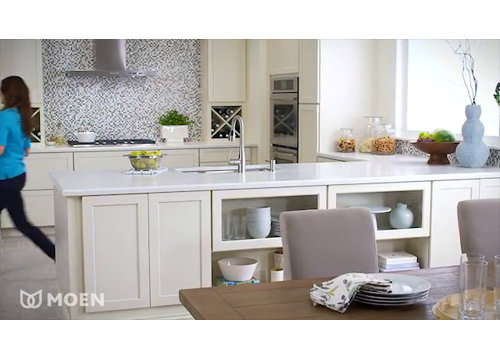 Moen Essie Pull-Down Kitchen Faucet with Power Clean Technology and ...