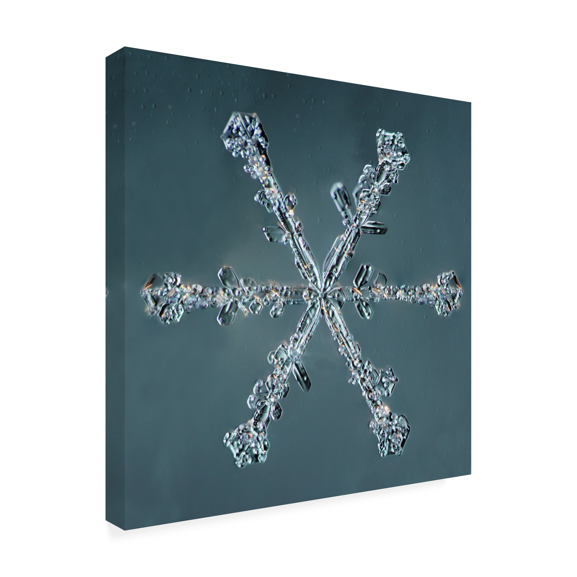 Ebern Designs Stellar Dendrite Snowflake 4 On Canvas Print | Wayfair